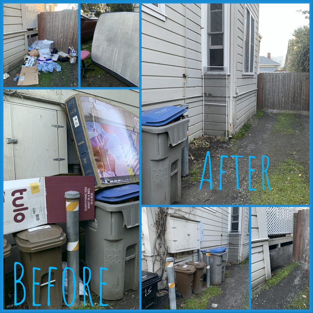 RAPID HAULING AND YARD CLEAN UP - Updated February 2025 - Request a ...