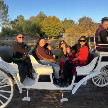 TEMECULA CARRIAGE COMPANY - Updated September 2024 - 345 Photos & 318 ...