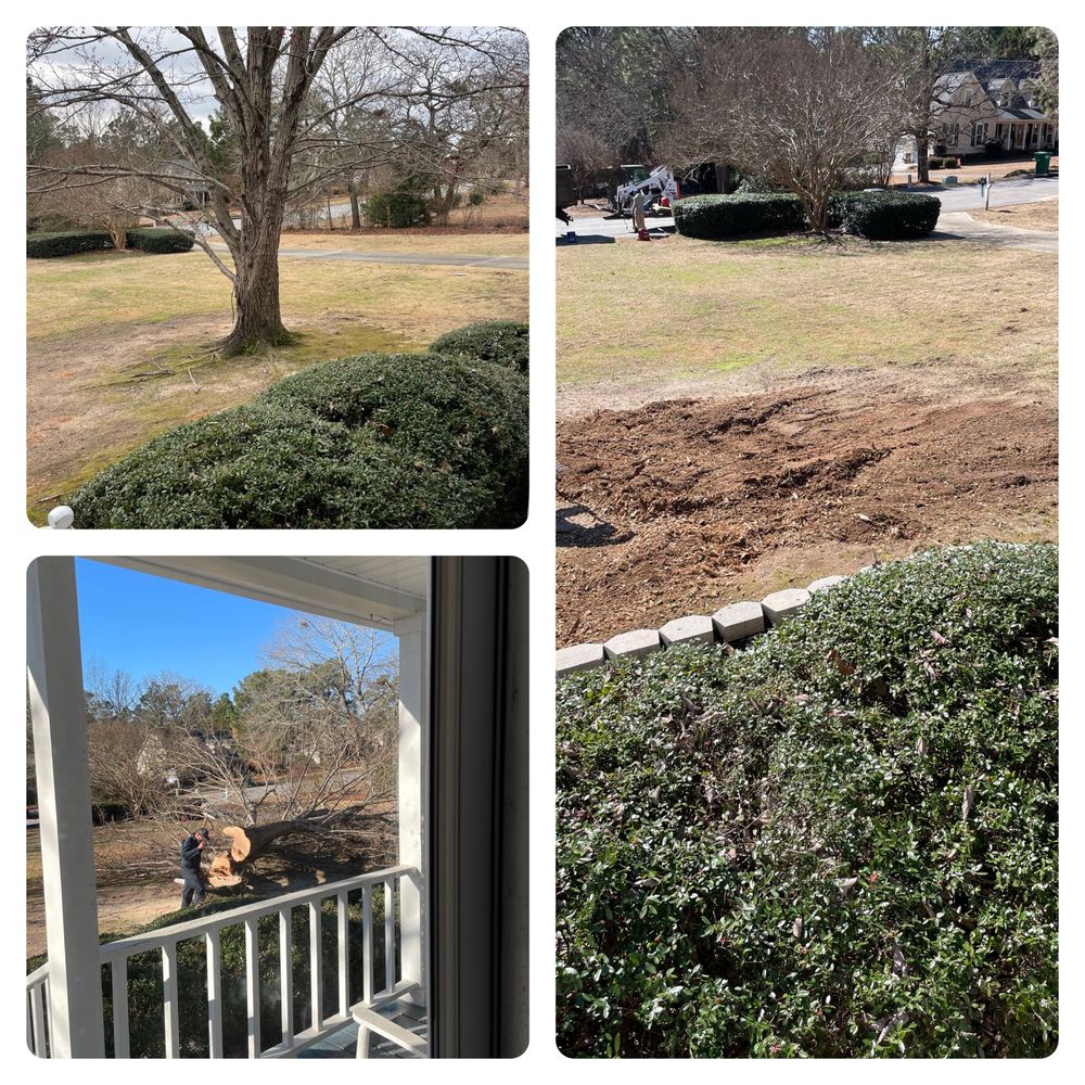 THE TREE MARSHALL - Updated July 2025 - 4037 Oregon Trl, Augusta ...