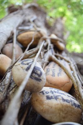 BANYAN BOCA - Updated October 2025 - 37 Photos & 11 Reviews - 1000 NW ...