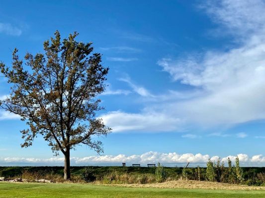 QUILCHENA GOLF AND COUNTRY CLUB - Updated December 2025 - 143 Photos ...