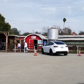 MAUST’S CALIFORNIA POULTRY - Updated October 2025 - 254 Photos & 134 ...