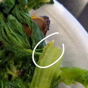 KAMI BUFFET & GRILL - 1783 Photos & 945 Reviews - 909 San Gabriel Blvd ...