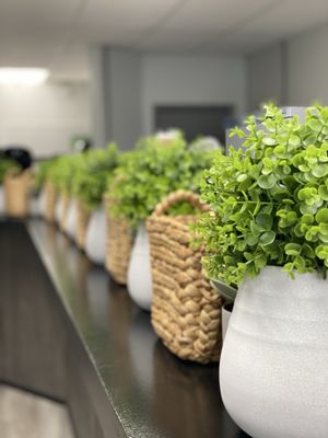 MANGO HOUSE CAFE - TEMP. CLOSED - Updated January 2026 - 61 Photos & 36 ...