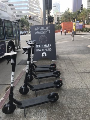 PERSHING SQUARE GARAGE - 63 Photos & 86 Reviews - 530 S Olive St, Los ...