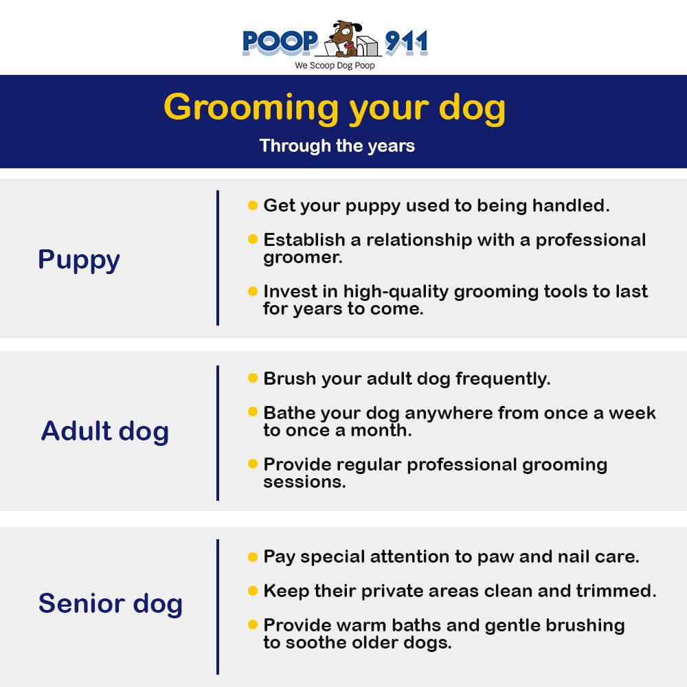 POOP 911 DEL MAR - Updated October 2024 - 10 Photos - Del Mar ...