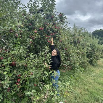 BJ REECE ORCHARDS - Updated August 2025 - 460 Photos & 194 Reviews ...