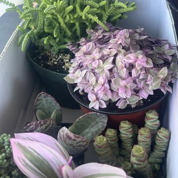 SPRING VALLEY SWAP MEET - Updated December 2025 - 440 Photos & 199 ...