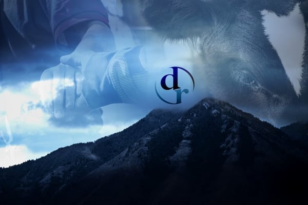 DISCOVERY RANCH - Updated November 2025 - 18 Photos & 36 Reviews - 1308 ...