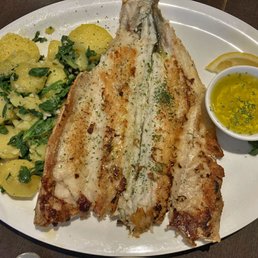 BONIMI - Updated October 2025 - 54 Photos & 56 Reviews - 3319 Bloor ...