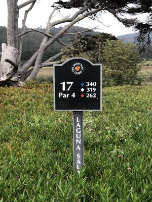 SHARP PARK GOLF COURSE - 129 Photos & 147 Reviews - 2600 Francisco Blvd ...