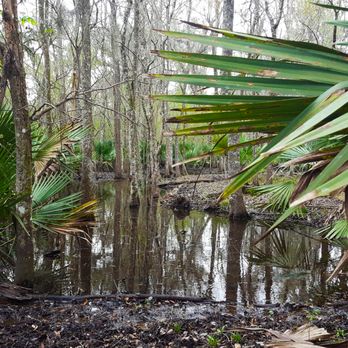 BARATARIA PRESERVE - 281 Photos & 54 Reviews - 6588 Barataria Blvd ...