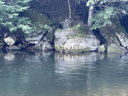 CAMPING ON THE BATTENKILL - Updated August 2025 - 16 Photos & 14 ...