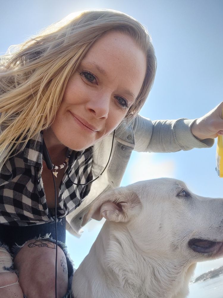 LEAH CLEANING SERVICE - Updated May 2025 - Request a Quote - Lincoln ...