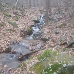 NOLDE FOREST ENVIRONMENTAL EDUCATION CENTER - 79 Photos - 2910 New ...