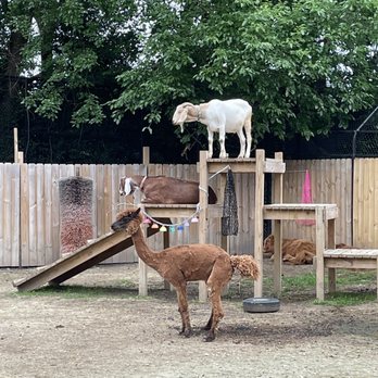 PHILLIPS PARK ZOO - Updated May 2024 - 224 Photos & 96 Reviews - 1000 ...