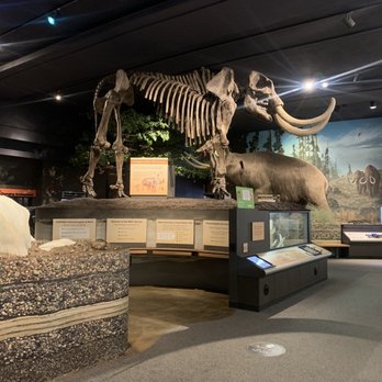 RMSC MUSEUM & SCIENCE CENTER - Updated November 2024 - 212 Photos & 81 ...