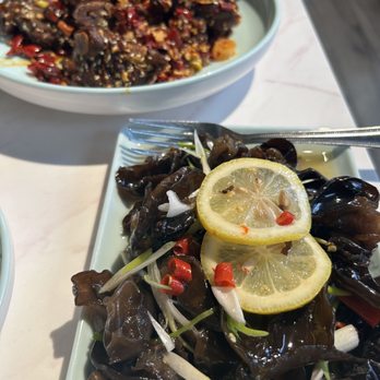 CHENGDU TASTE 滋味成都 - 417 Photos & 168 Reviews - 504 5th Ave S, Seattle ...