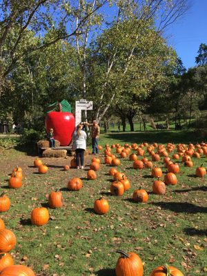FERGUSON’S MORNINGSIDE ORCHARD - Updated January 2026 - N17543 Grover ...