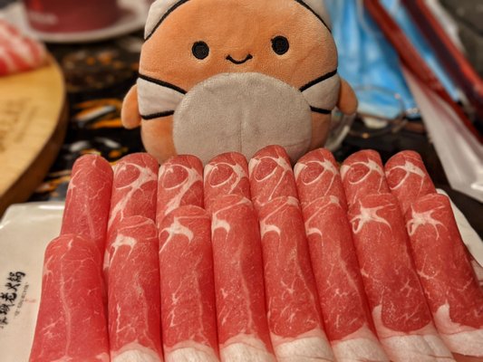 CHENGDU MEMORY - 1154 Photos & 467 Reviews - 520 S Jackson St, Seattle ...