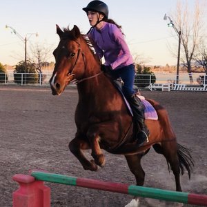 SAN FRANCISCO STABLES - Updated June 2024 - 18 Photos - 1114 Casad Rd ...