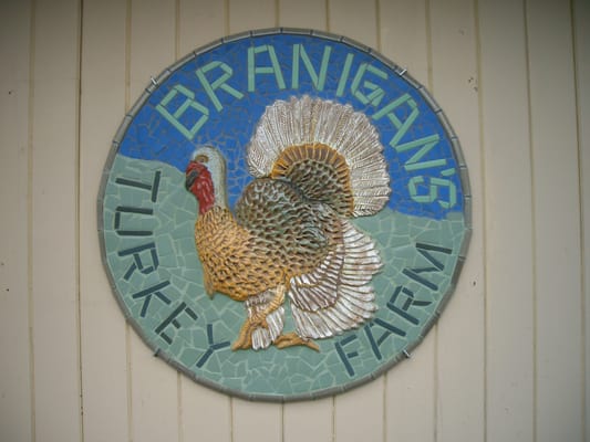 BRANIGAN TERRY TURKEY FARM - Updated December 2025 - 10 Reviews - 39621 ...