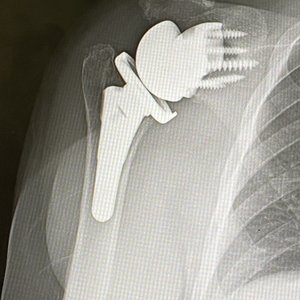 RYAN DELLAMAGGIORA, MD - Updated December 2025 - 39 Reviews - 8635 W ...