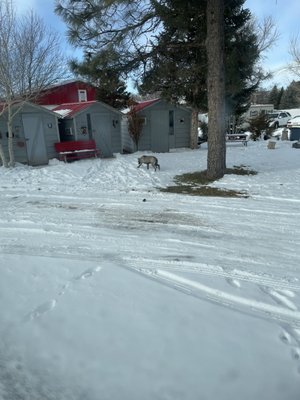 RED LEDGE RV PARK - Updated October 2025 - 14 Photos & 23 Reviews - 15 ...