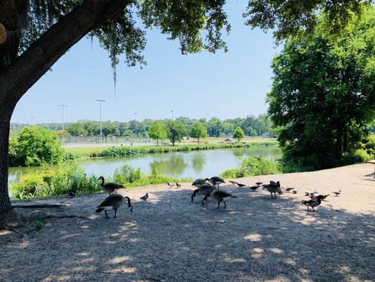 LAKE MAYER PARK - 159 Photos & 27 Reviews - 1850 E Montgomery Cross ...