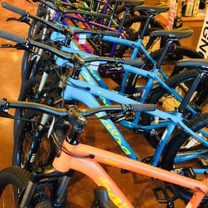 FIN FEATHER FUR OUTFITTERS - ROSSFORD - Updated November 2025 - 27171 ...