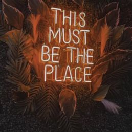 THE PASS KITCHEN - Updated September 2025 - 443 Photos & 223 Reviews ...