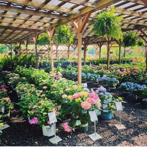 ELZY MILLING & TRADE - Updated September 2025 - 20 Photos - 25 E Ogle ...