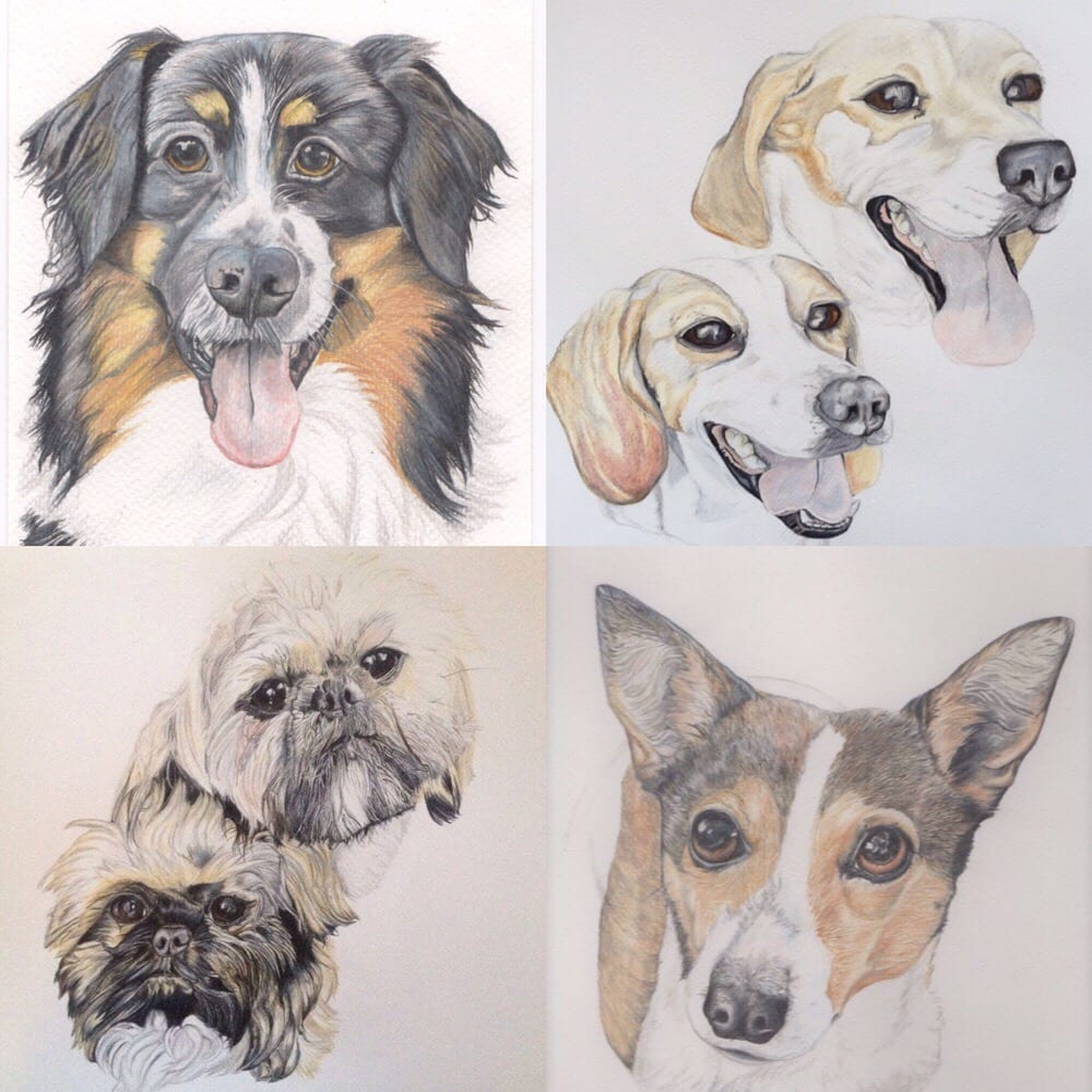 MODEL DOGS - London, United Kingdom - Pet Training - Phone Number - Yelp