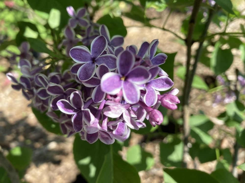 WURST J J LANDSCAPE CONTRACTORS & GARDEN CENTER - Updated December 2025 ...