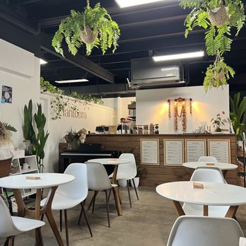 PLANTOEM - Updated February 2025 - 589 Photos & 127 Reviews - 3457 ...
