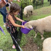 ROSE BRIDGE FARM & SANCTUARY - 112 Photos & 47 Reviews - 1314 N ...