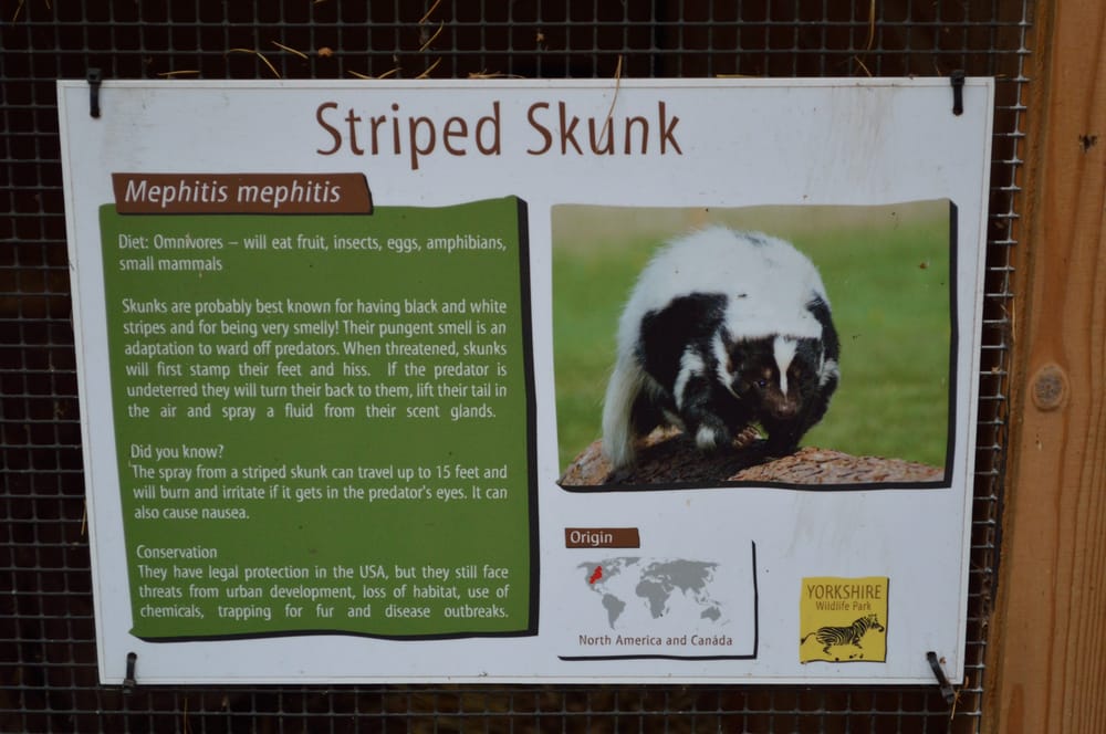 YORKSHIRE WILDLIFE PARK - Updated August 2025 - 48 Photos & 11 Reviews ...