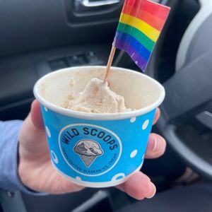 WILD SCOOPS - 140 Photos & 88 Reviews - Desserts - 530 E Benson Blvd ...