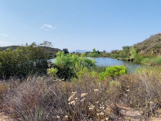 DALEY RANCH - 415 Photos & 99 Reviews - 3024 La Honda Dr, Escondido ...