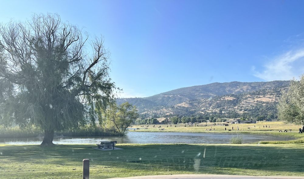 BEAR VALLEY SPRING DOG PARK - Updated August 2024 - 28999 Lower Valley ...