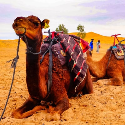 THE 10 BEST Things to Do in Onondaga Castle, NY - 2024 - Yelp