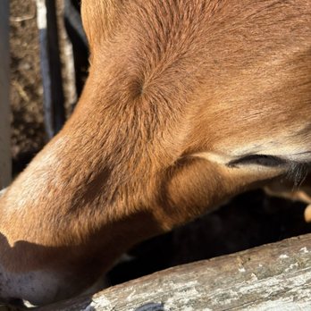 SMILING HILL FARM - Updated December 2025 - 184 Photos & 70 Reviews ...