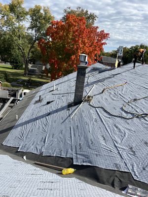 NEXT LEVEL ROOFING AND SIDING - Updated July 2025 - Request a Quote ...