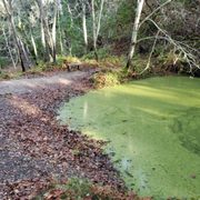 GARLAND RANCH REGIONAL PARK - 306 Photos & 93 Reviews - Hiking - 700 W ...