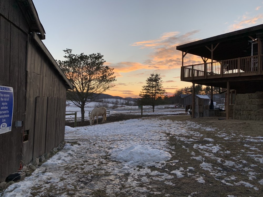 WILDFIRE RANCH SPIRITUAL RETREAT - 81 Photos & 17 Reviews - Horse ...