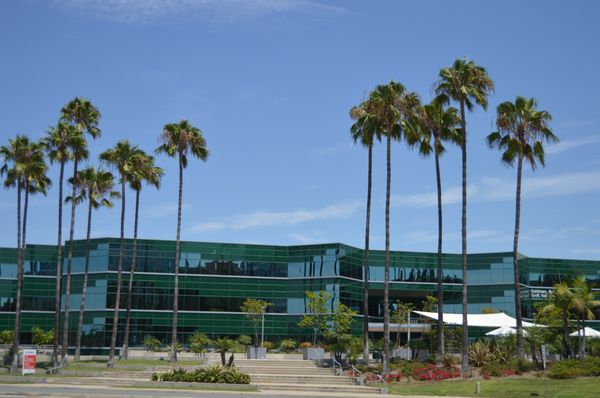 WENDY M. BUCHI, MD - Updated December 2025 - 12 Photos & 21 Reviews ...