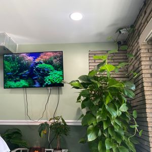 MOONLIGHT SPA - 78 Photos & 115 Reviews - 722 Washington St, Hoboken ...