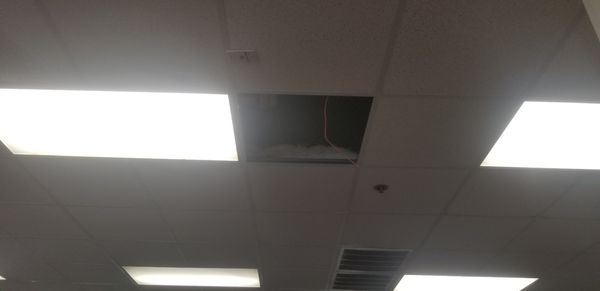 COLLEGIATE VILLAGE INN - 11 Photos & 10 Reviews - 11850 University Blvd ...