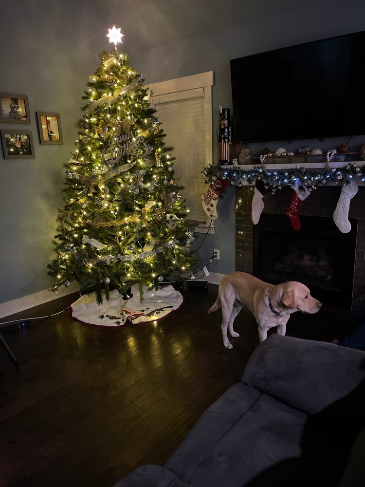 SPARTAN VAN LINES - Updated April 2025 - 139 Photos & 76 Reviews - 201 ...