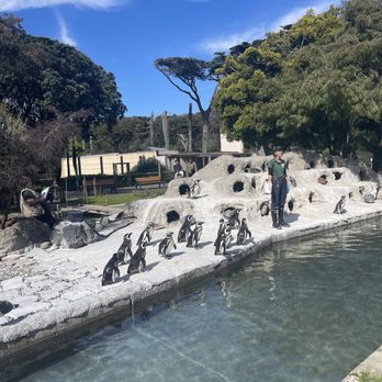 SAN FRANCISCO ZOO - Updated January 2025 - 5496 Photos & 1714 Reviews ...